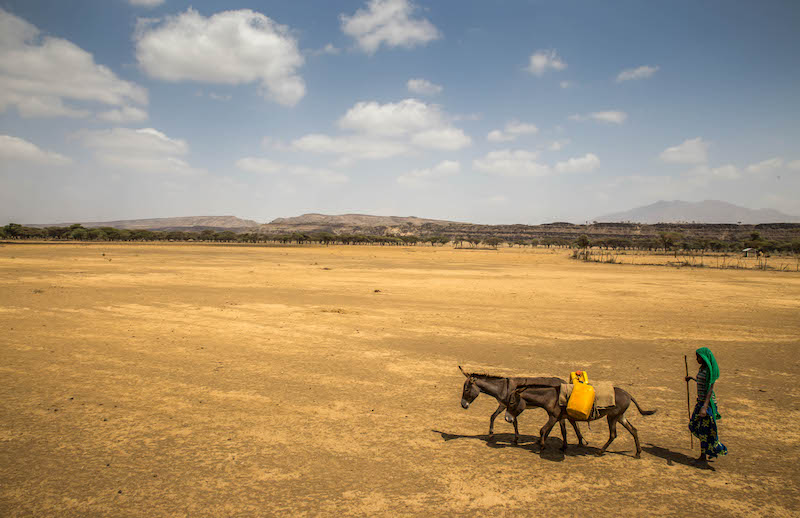 A Case for Giving Climate Migrants Protected Legal Status | Carnegie ...