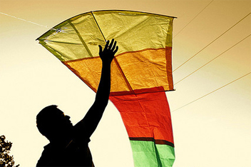 Policy Innovations Digital Magazine (2006-2016): Briefings: A Kite ...