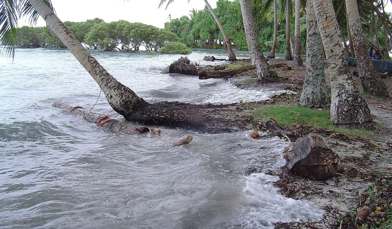 Climate ethics | Carnegie Council for Ethics in International Affairs