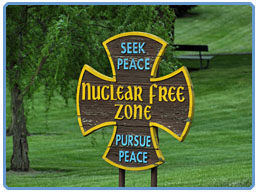 NWFZs: Pursuing a World Free of Nuclear Weapons | Carnegie Council for ...